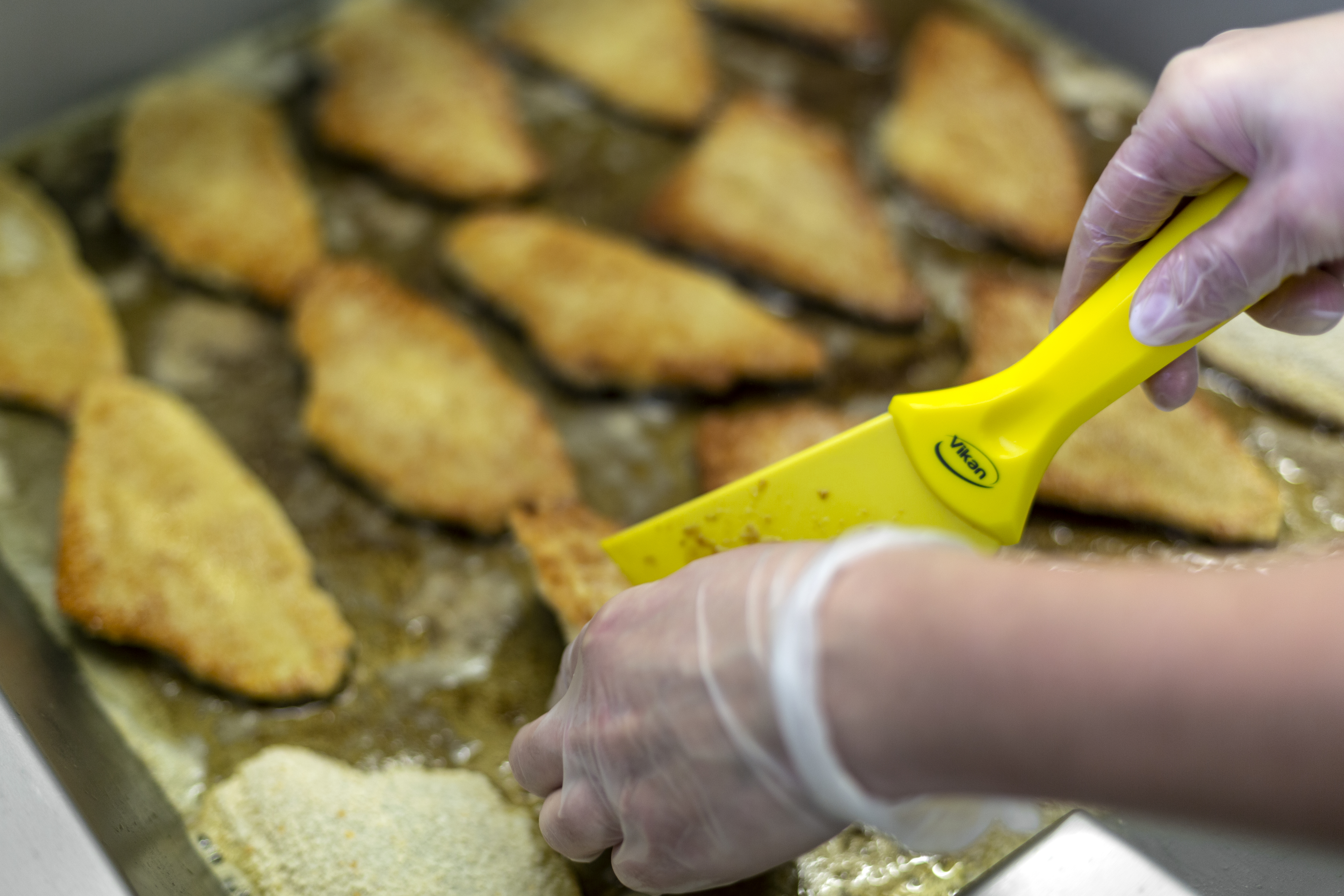 Color-Coding Toolkit for Food Processing Facilities | Vikan